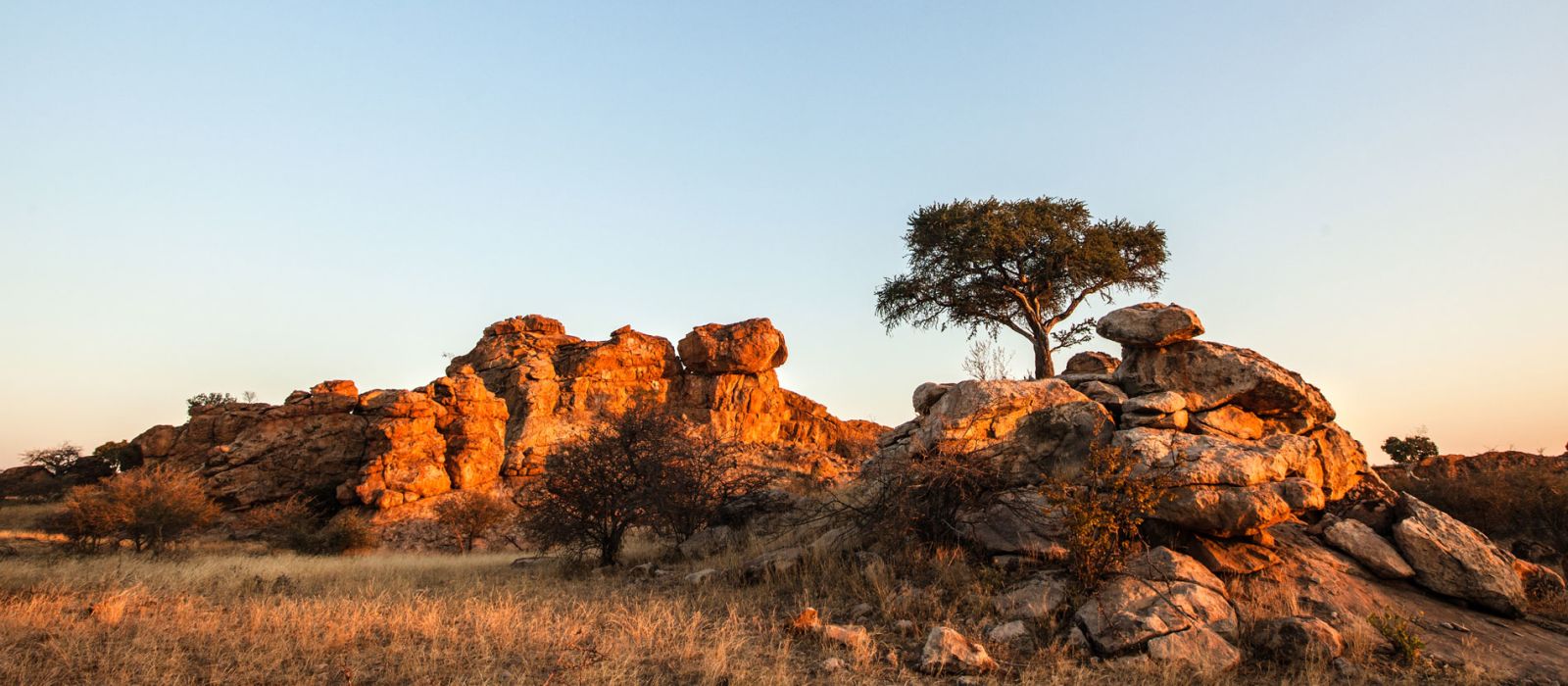 Exclusive Travel Tips for Your Destination Tuli Block in Botswana