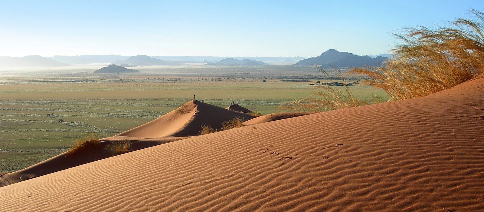 Reiseziel Kalahari Wüste (Namibia) in Südafrika | Enchanting Travels