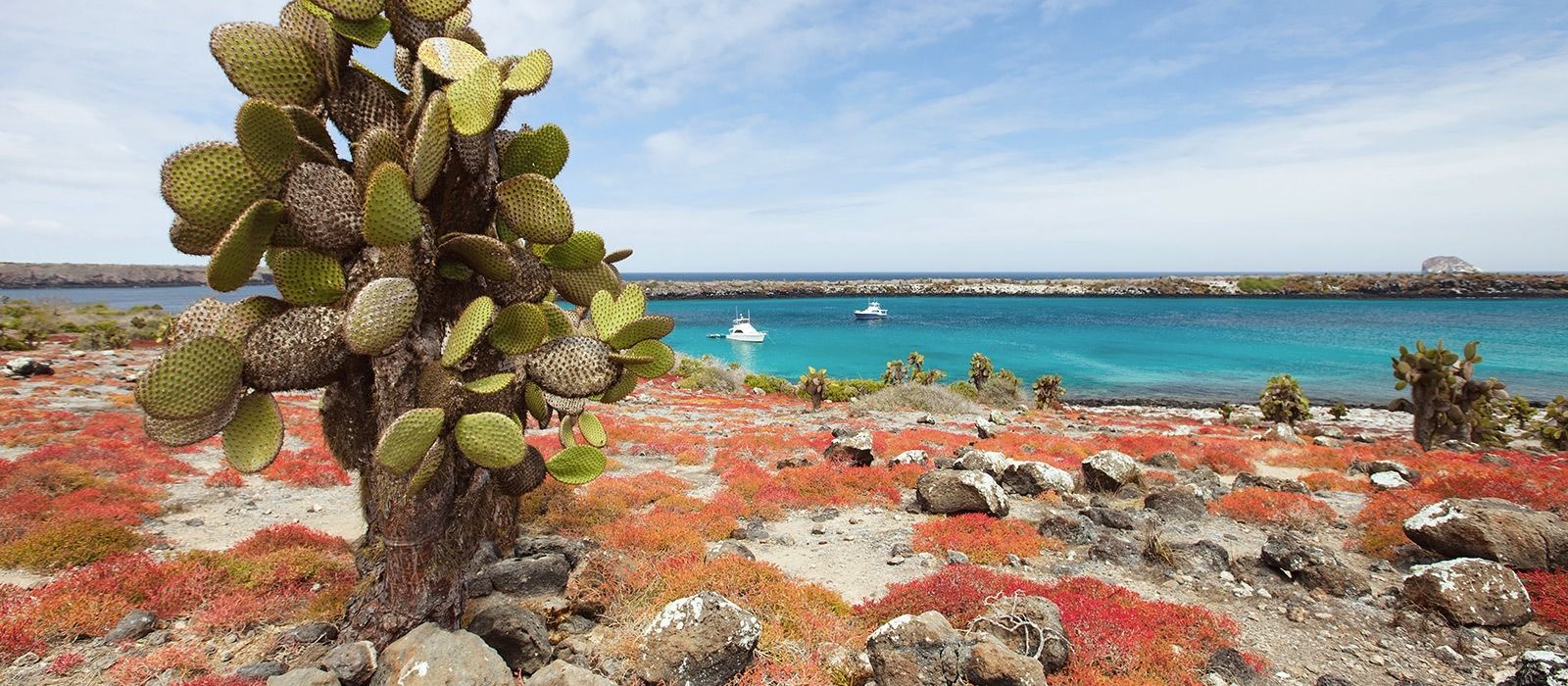 Travel Tips for Isla Santa Cruz in Ecuador & Galapagos