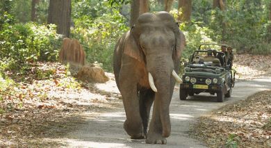 Exclusive Travel Tips for Your Destination Indore in Central & West India