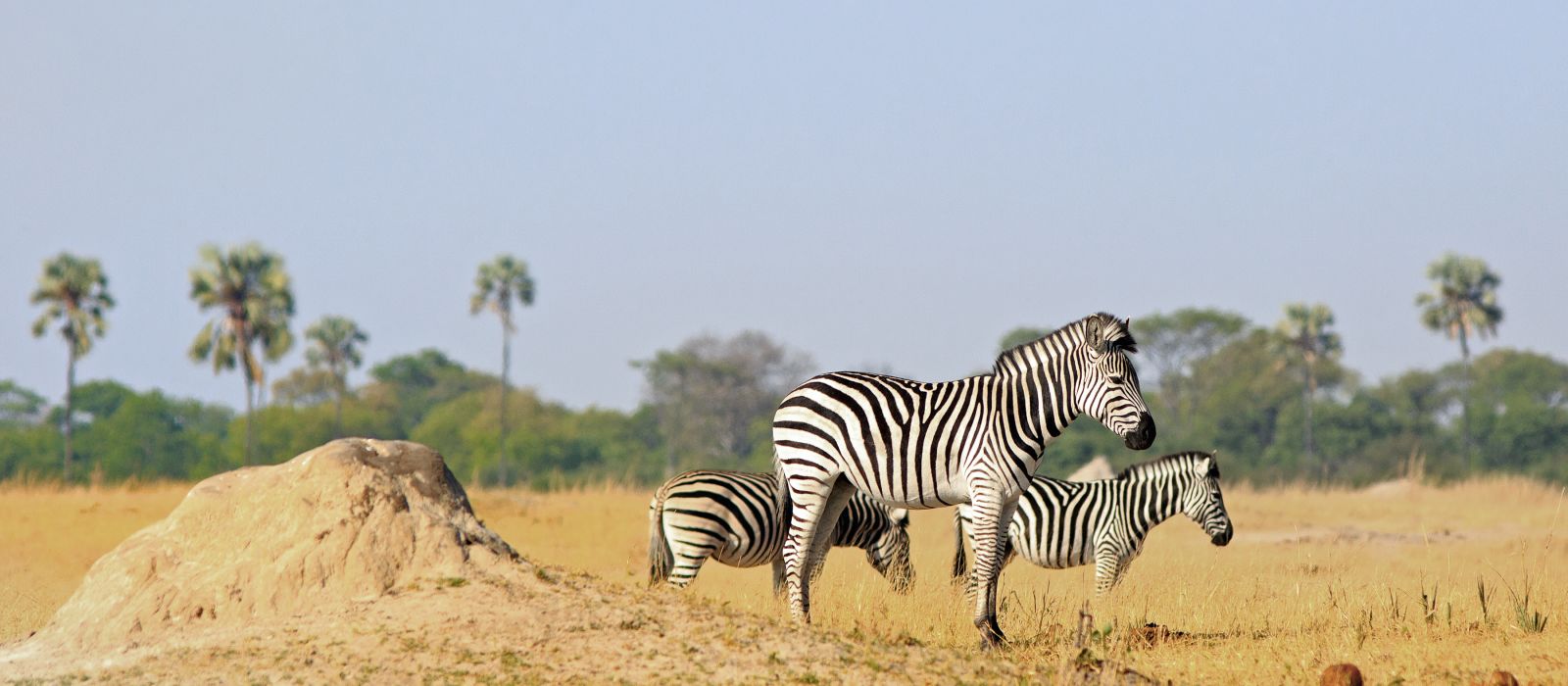 Zimbabwe Travel Package | Victoria Falls Tour in Zimbabwe