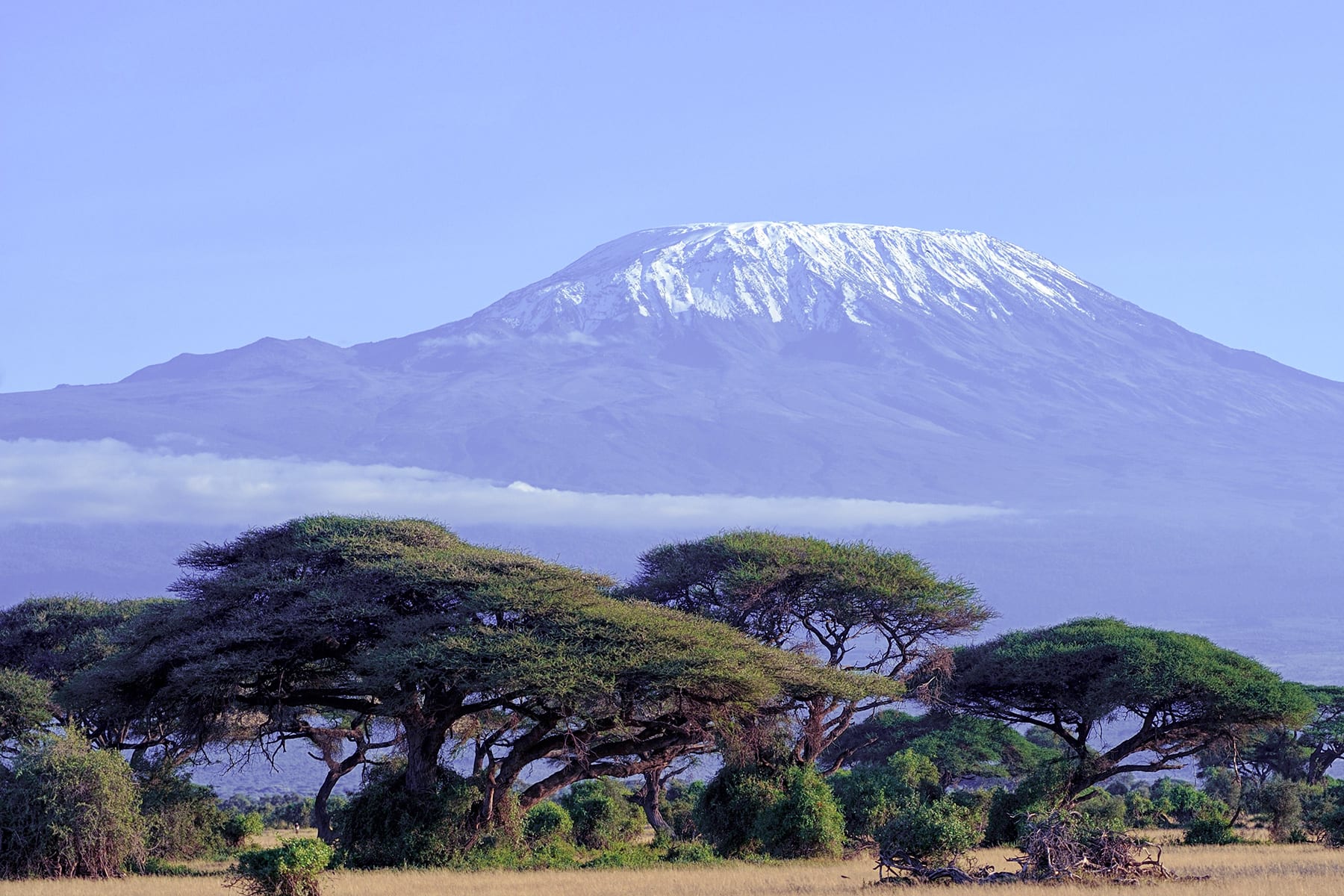 HASAG legal panel members attempt the HASAG Kili Climb | Fieldfisher