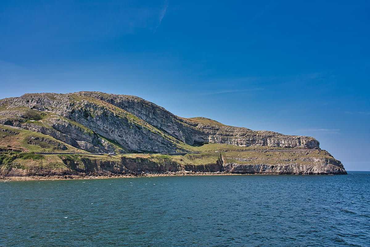 Families Demand Inquiry Into Scouts’ Safety Failures