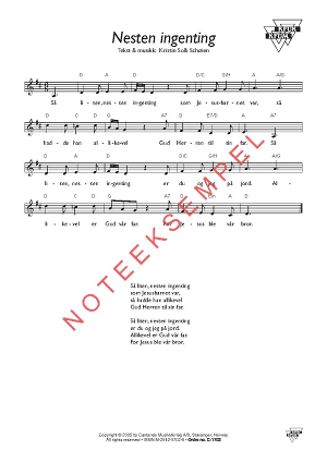 Nesten ingenting - Kristin Solli Schøien