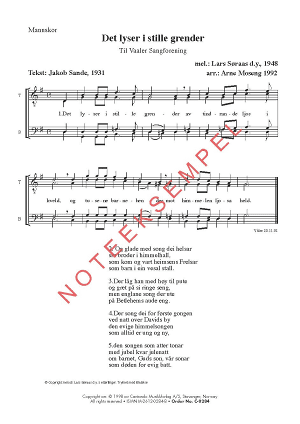 Det lyser i stille grender - TTBB