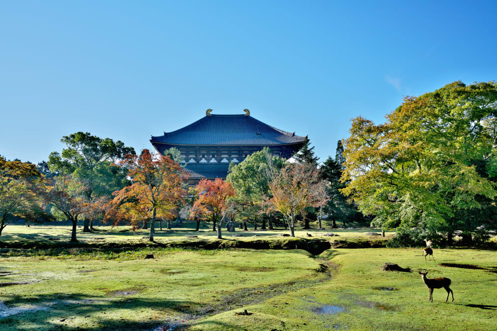 Nara | Travel Japan - Japan National Tourism Organization (JNTO)