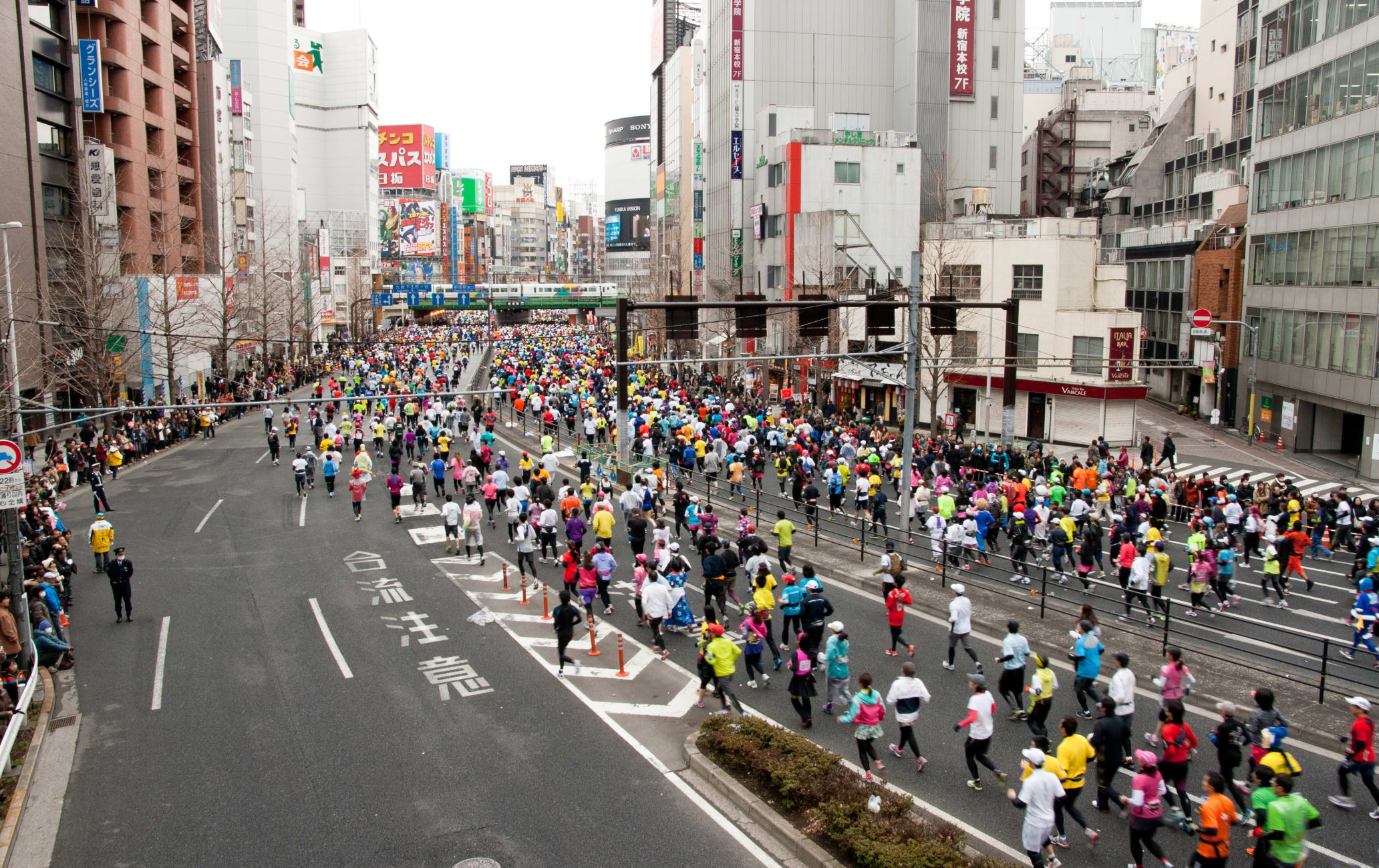 Maratón de Tokio | Tokio Attractions | Visita Japón | JNTO