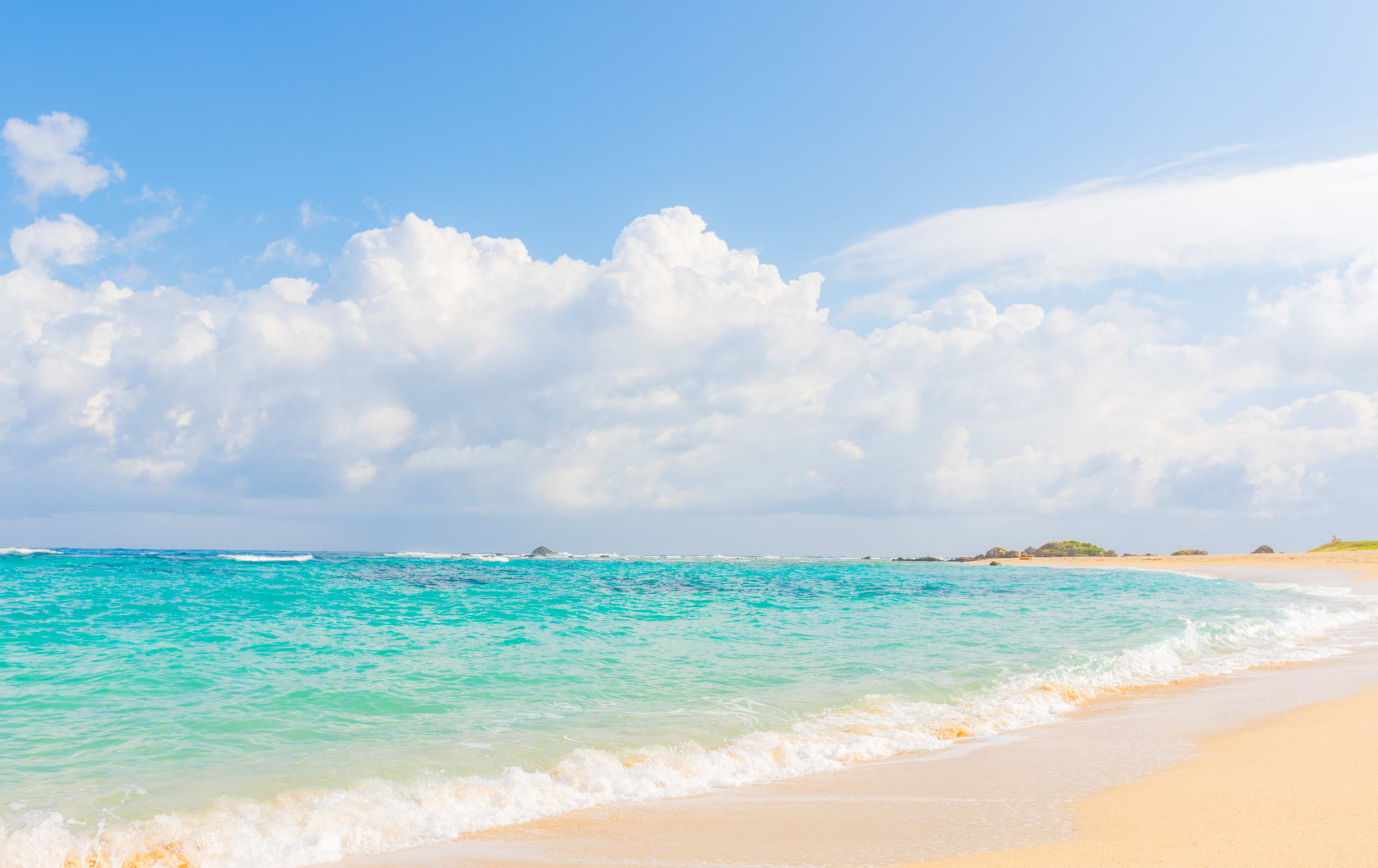 Amami Oshima Island | Travel Japan (Japan National Tourism Organization)