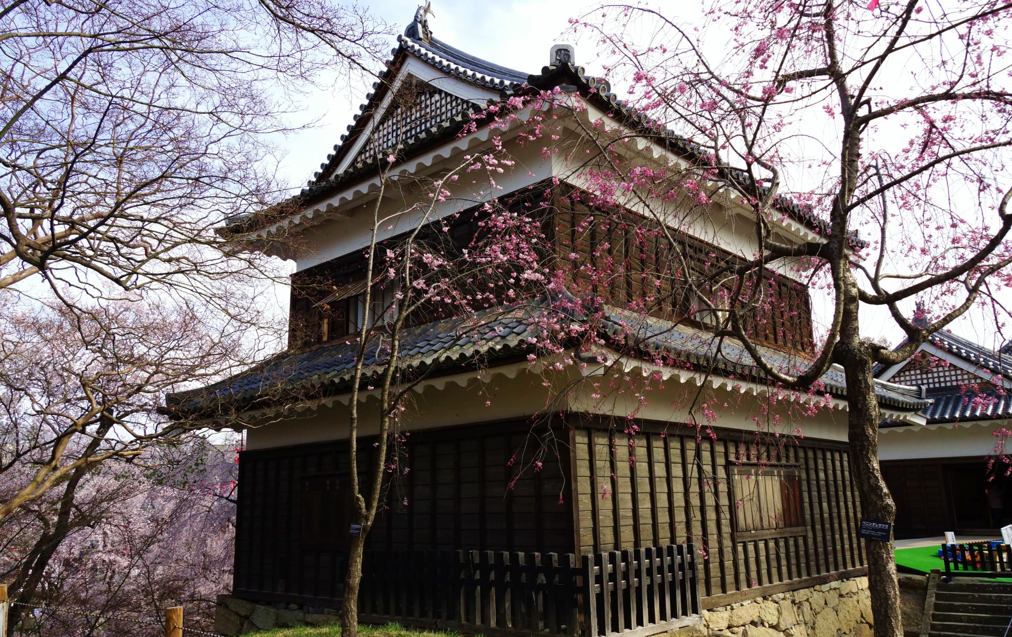 Ogi | Travel Japan - Japan National Tourism Organization (Official Site)