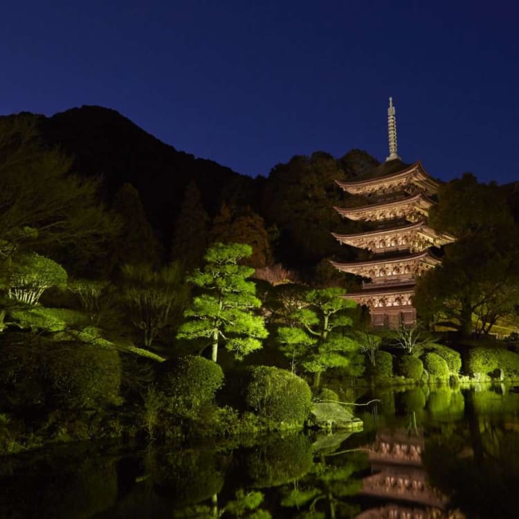 Yamaguchi | Where to Dive | Japan Diving | JNTO