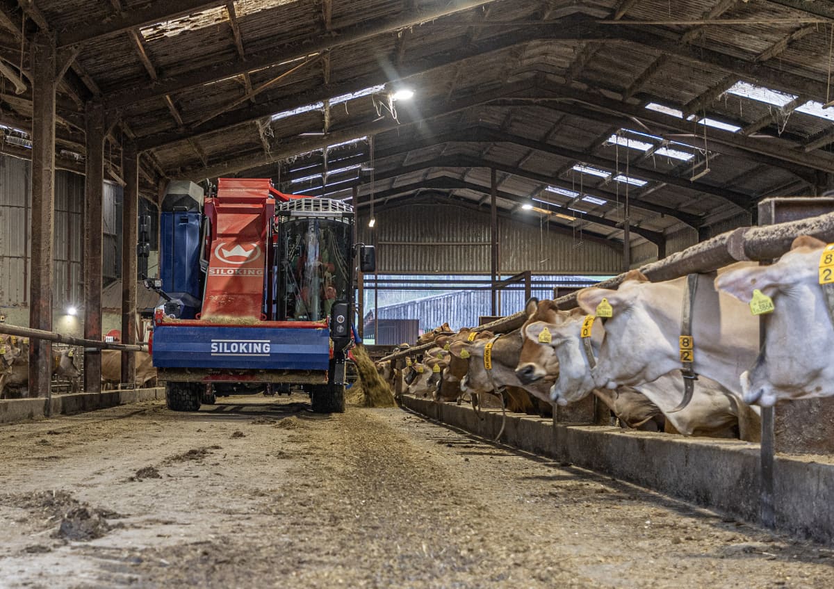 Kverneland Siloking SelfLine 500+ King of the Clamp