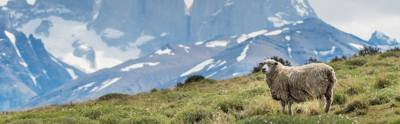 Norrøna official online shop - Premium outdoor clothing - Norrøna®