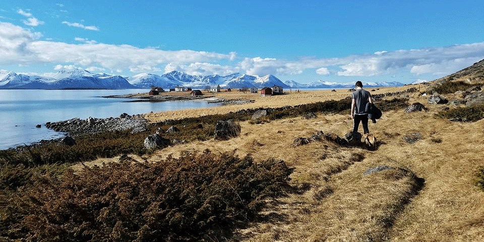 Harstad - Official travel guide to Norway - visitnorway.com