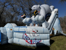 Polar Bear Arctic Plunge Slide Rentals USA | Sky High Party Rentals